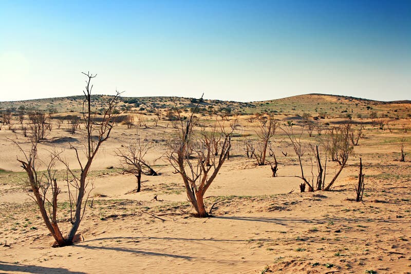 The spring in the desert stock photo. Image of concept - 13239744