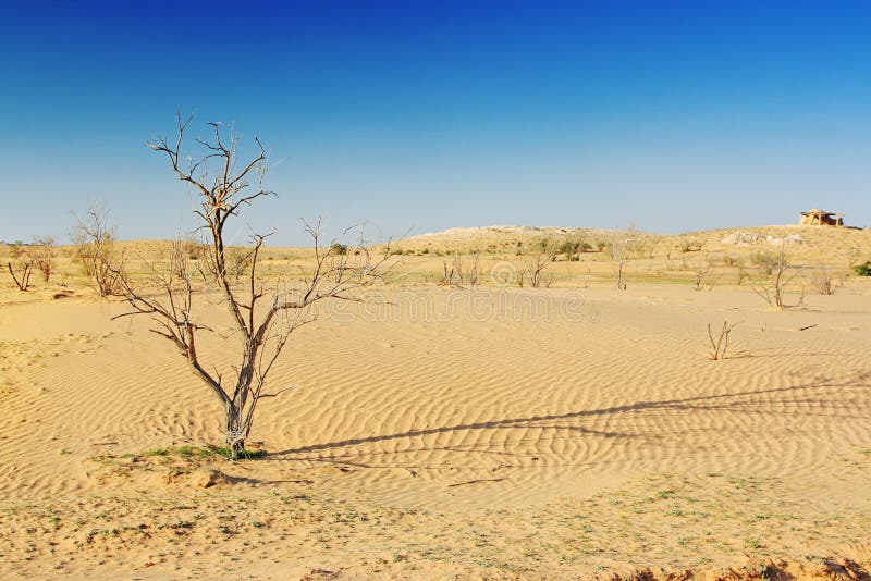 The spring in the desert stock image. Image of desert - 13239841