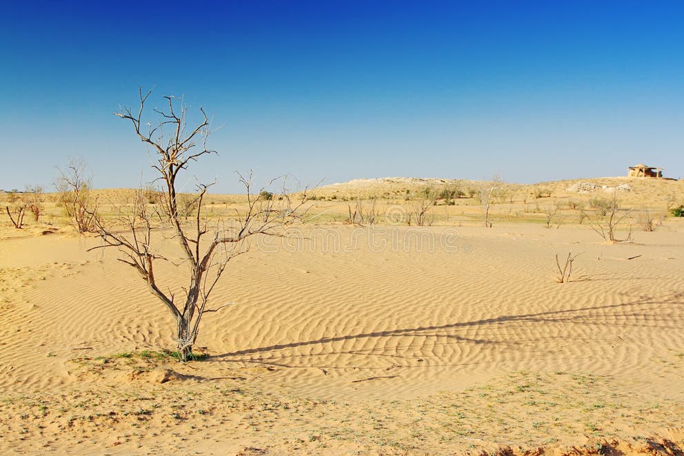 The spring in the desert stock image. Image of desert - 13239841