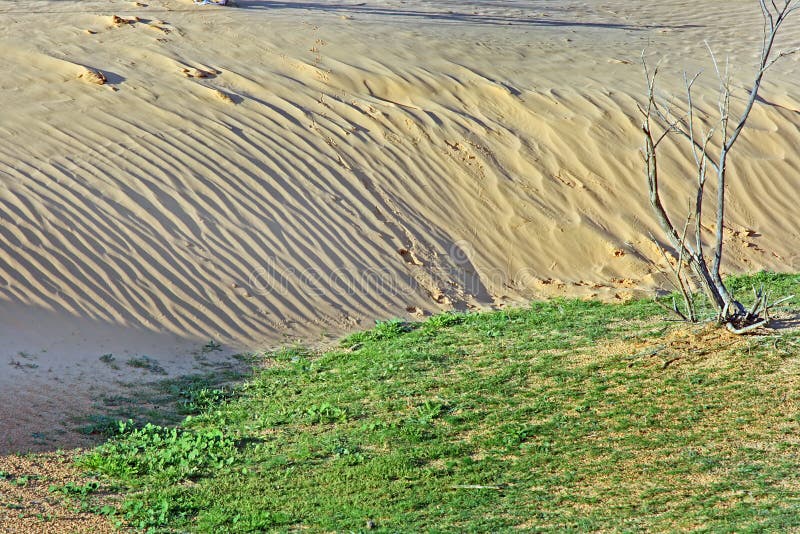 The spring in the desert stock image. Image of daylight - 14734581