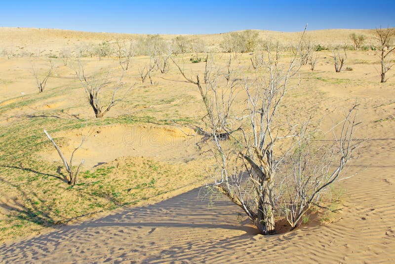 The spring in the desert stock image. Image of blue, metaphor - 14734737
