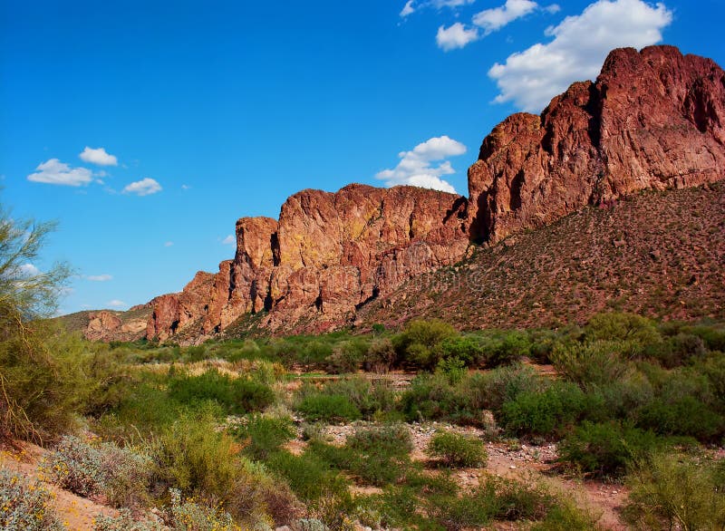 Spring in the Desert stock photo. Image of stately, southwestern - 39822812