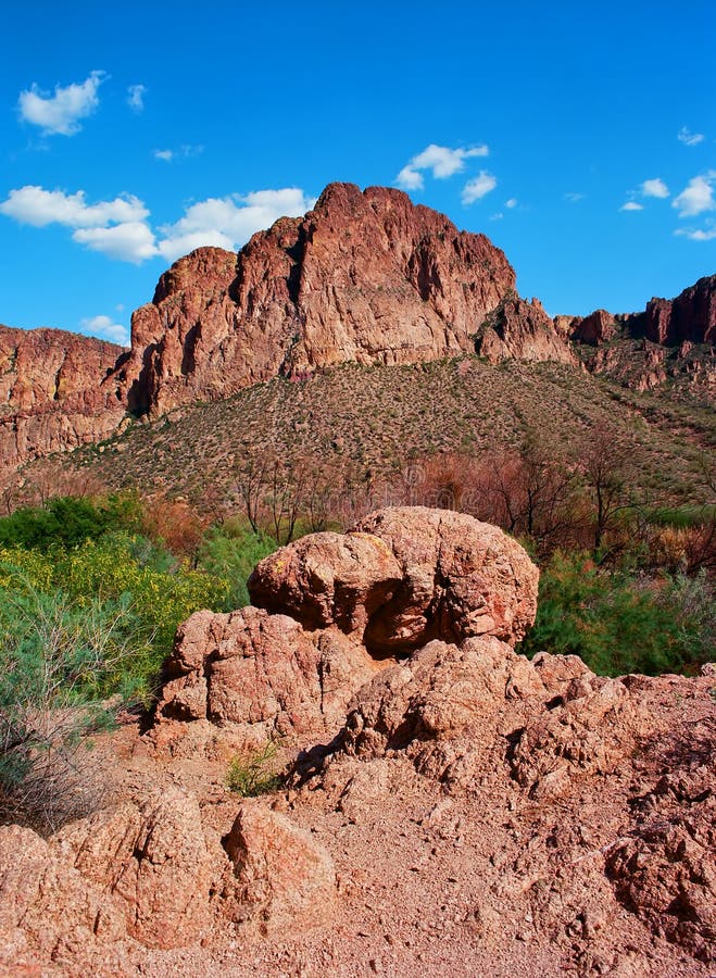 Spring in the Desert stock photo. Image of stately, southwestern - 39822812
