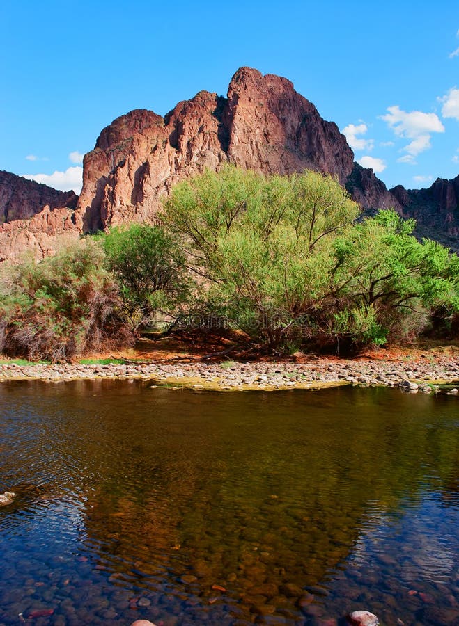 Spring in the Desert stock photo. Image of southwestern - 39822790