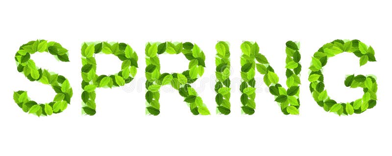 Spring design stock vector. Illustration of freshness - 22902154