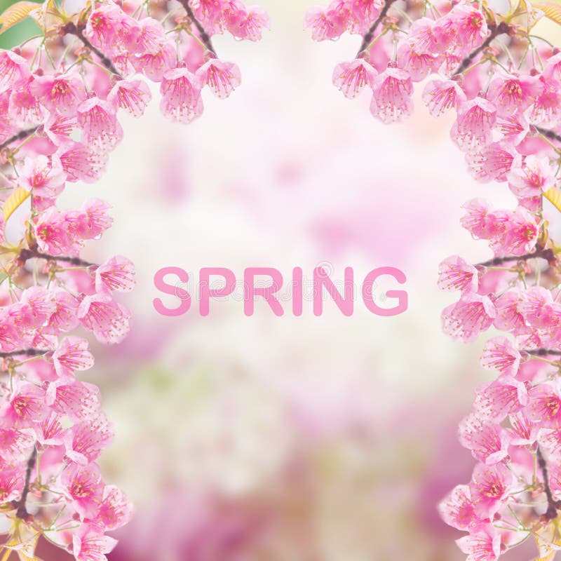 Spring design background stock image. Image of japanese - 88466769