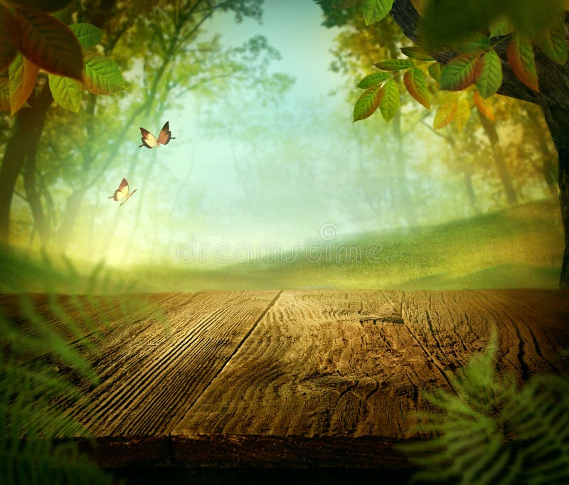 Spring Design - Forest with Wood Table Stock Image - Image of leaf ...