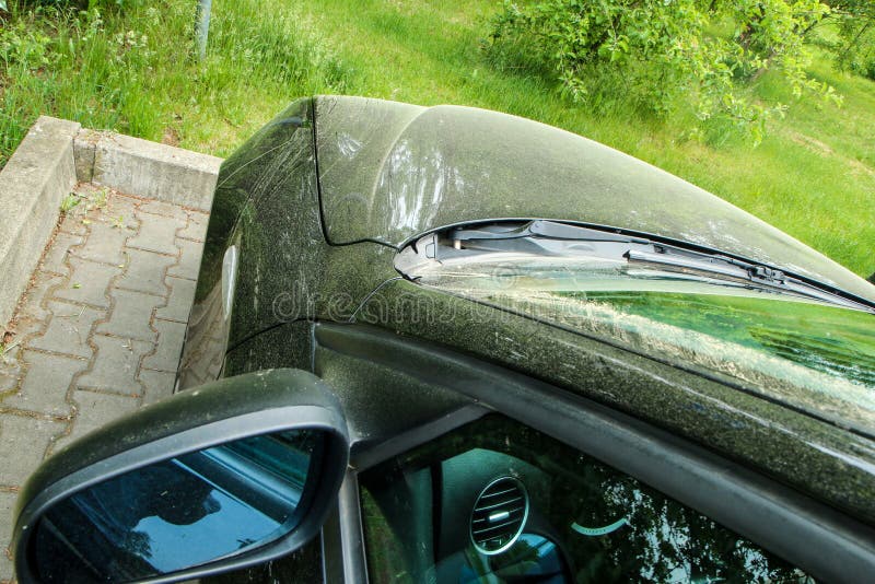 A car dirty from pollen stock photo. Image of allergy - 197380194