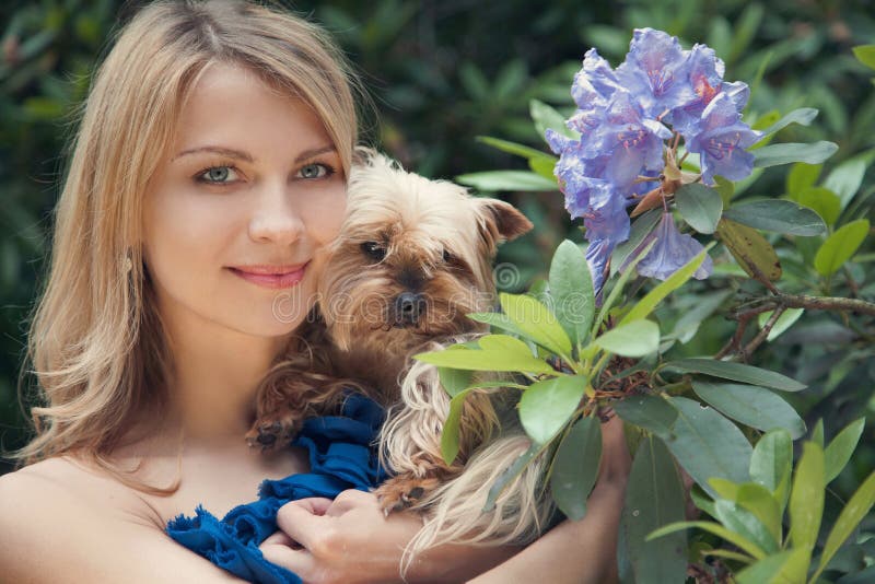 Woman play with dogs stock image. Image of animals, adopted - 21525333