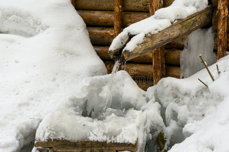 Spring with Drinking Water in the Forest Stock Photo - Image of beauty ...