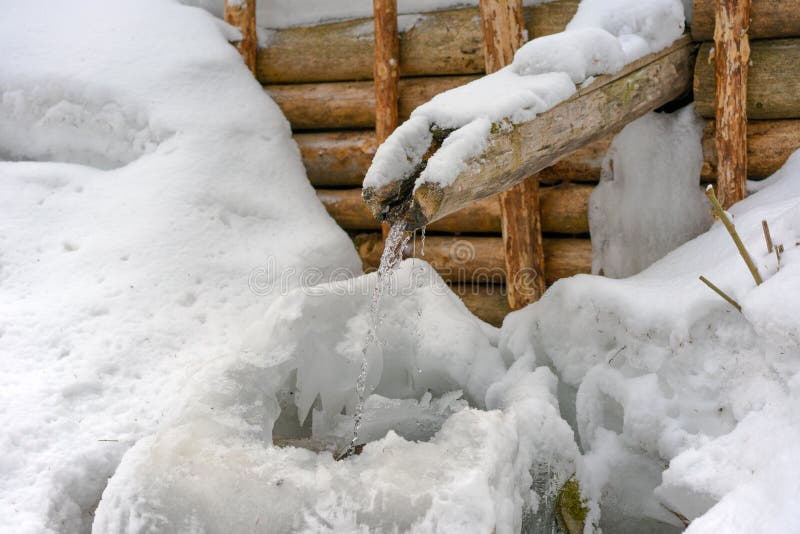 Spring with Drinking Water in the Forest Stock Image - Image of forest ...