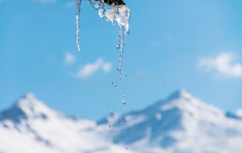 Spring drops stock photo. Image of icicle, icicles, fresh - 49307096