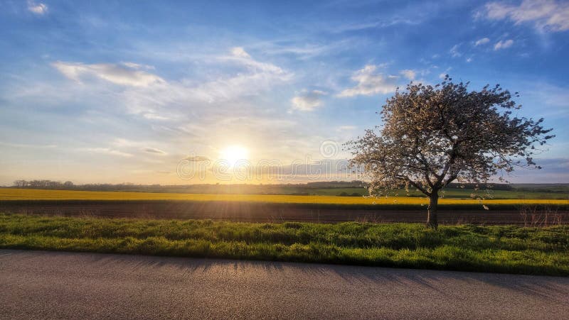 Spring Early Evening Sky Clouds Sunset Landscape Colorful Tree Stock ...