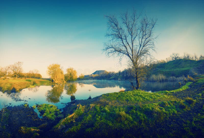 Spring Early Morning on a Lake_vintage_1 Stock Photo - Image of park ...