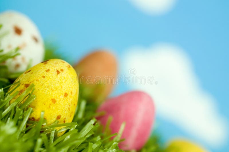 Spring Easter Eggs stock image. Image of nature, macro - 8440339