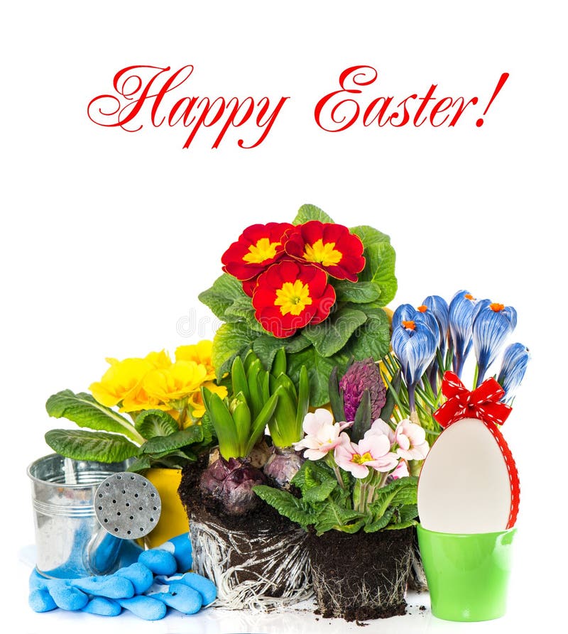 HAPPY EASTER, Roses Flower Letters Stock Photo - Image of letter, color ...