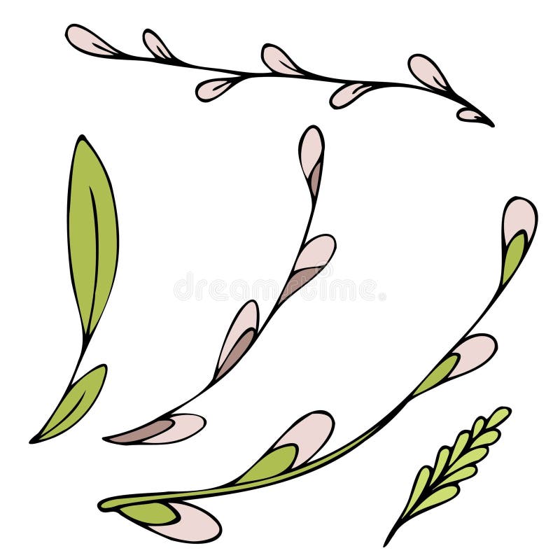 Spring Easter Traditional Fluffy Willow Branches, Beginning of Spring, Vector Color Isolated ...