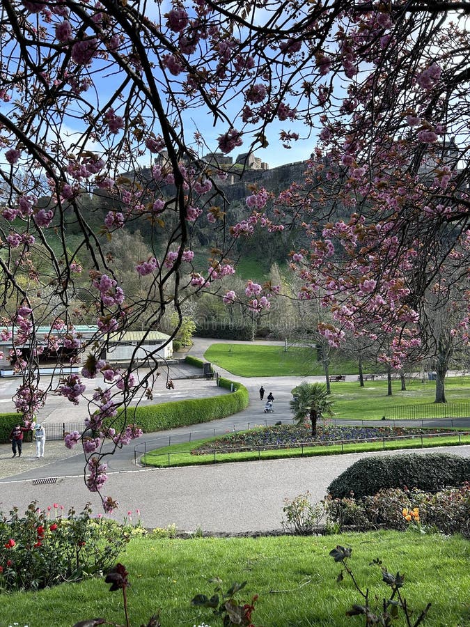 Spring in Edinburgh editorial stock photo. Image of spring - 315815723