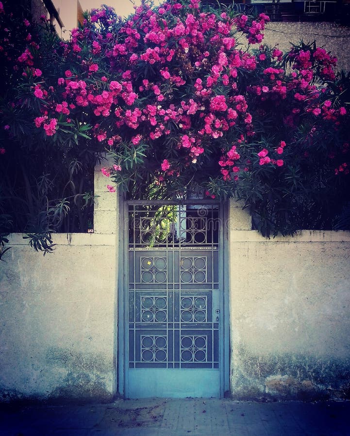 Spring in egypt stock image. Image of egypt, egyptian - 94531673