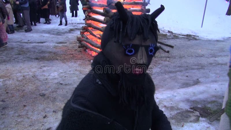 Mardi Gras Cupcakes stock video. Video of fairy, celebrate - 66068063