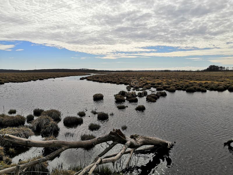 Spring in Estonia stock photo. Image of river, estonia - 149309668