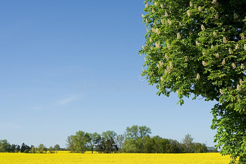 Spring In Europe Picture. Image: 2879735