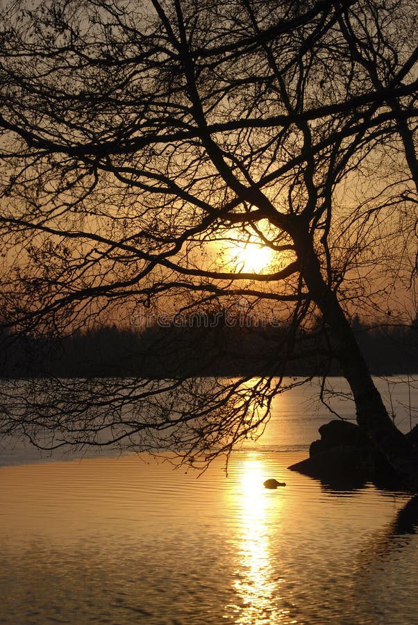 Spring evening stock photo. Image of light, silhuette - 28120616