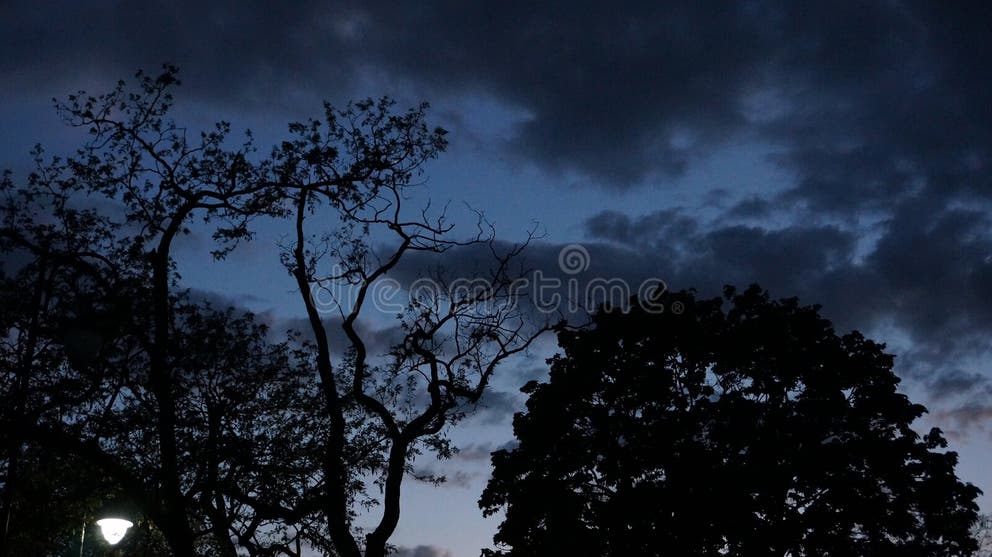 Spring Evening. Horizontal Wallpaper with Sky Image Stock Image - Image ...