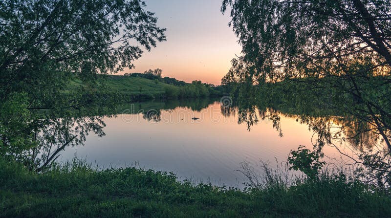 Spring evening landscape stock photo. Image of grass - 234954656