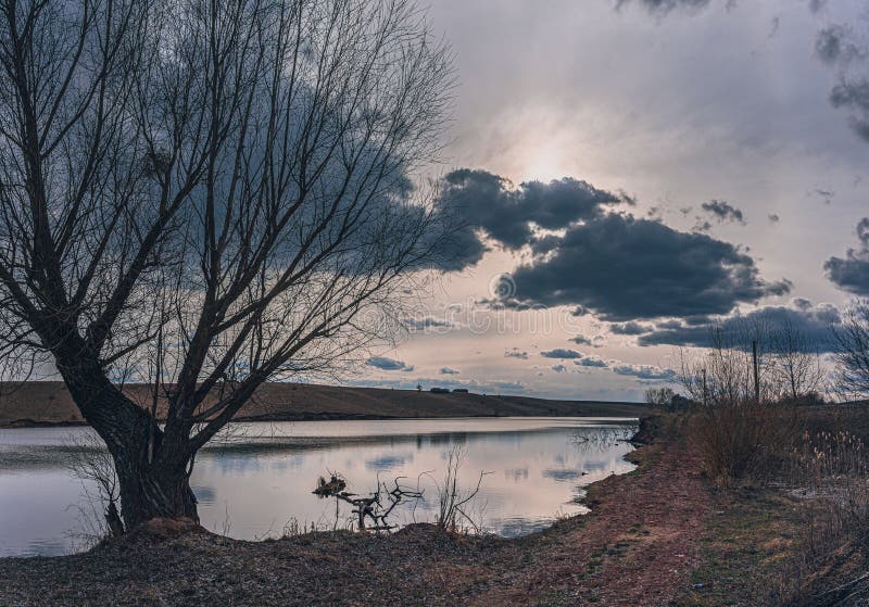 Spring evening landscape stock image. Image of twilight - 234955683