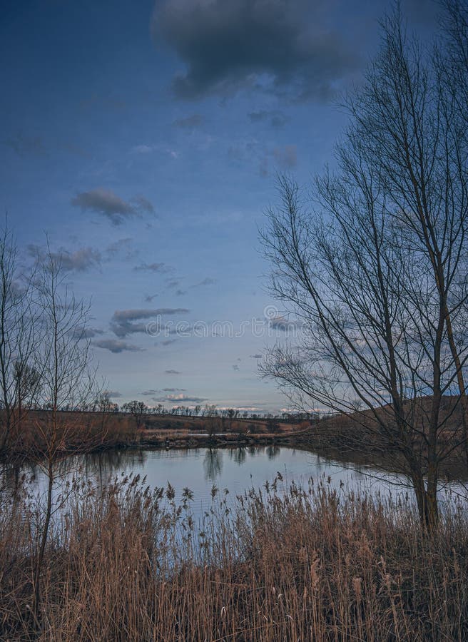 Spring evening landscape stock image. Image of twilight - 234955785