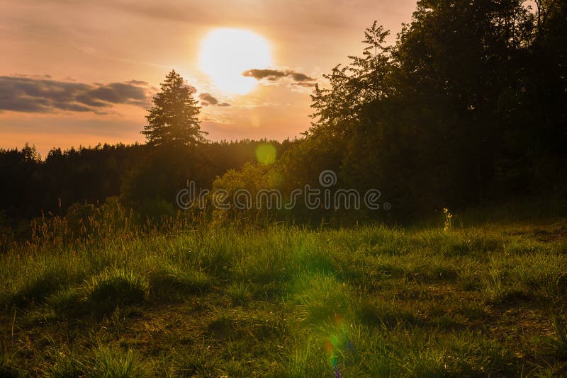 Spring evening stock photo. Image of lens, trees, sunbeam - 71937950