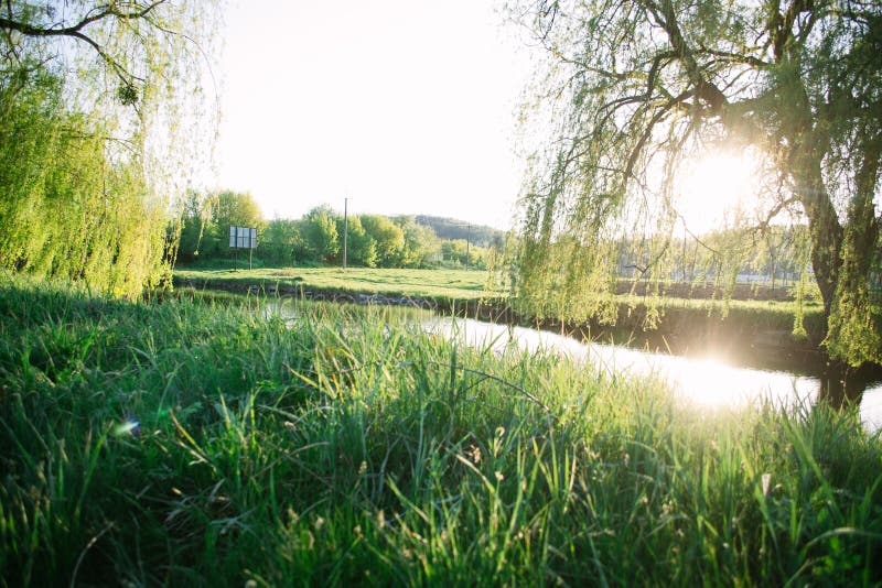 Spring Evening Sunny Landscape Near the River Stock Image - Image of ...