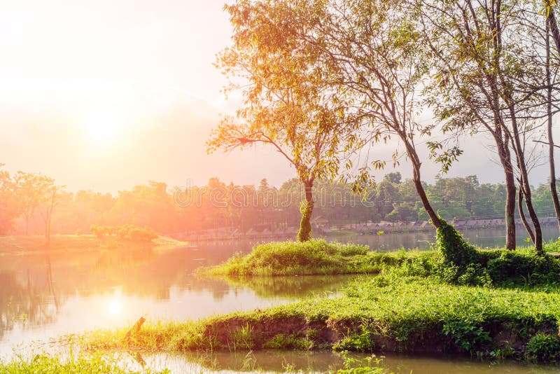 Two Trees on the Edge of a River Stock Image - Image of river, water ...