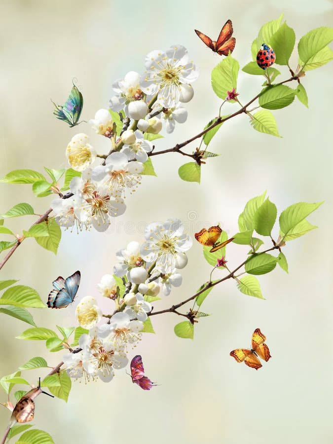 Spring of fantasy stock image. Image of spring, butterflies - 16907347