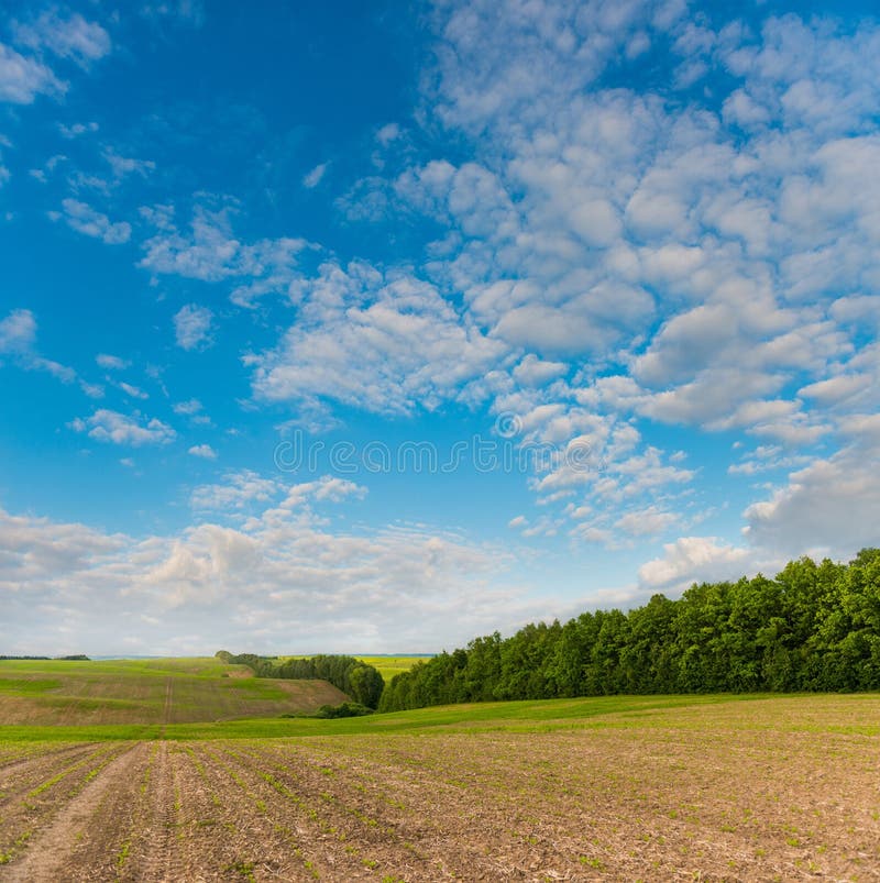 Spring farm field view stock image. Image of field, plant - 24774943