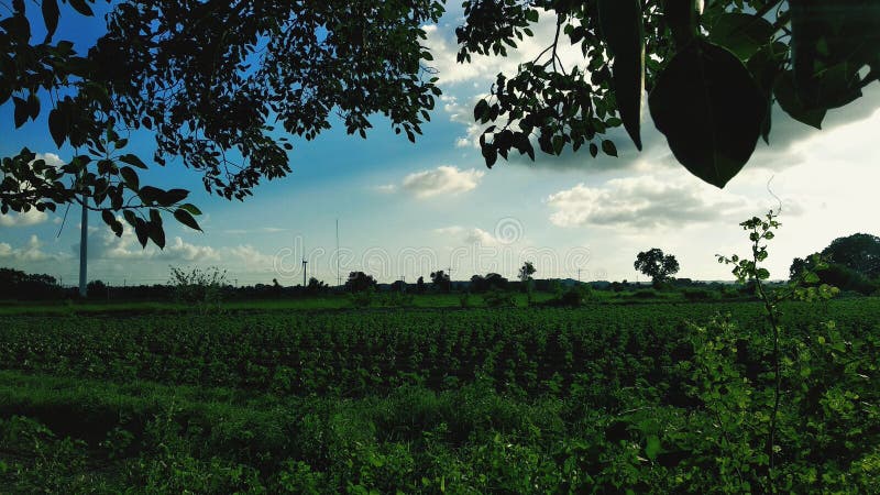 Spring Farm Field Scene. Spring Farm Field Landscape Stock Image ...
