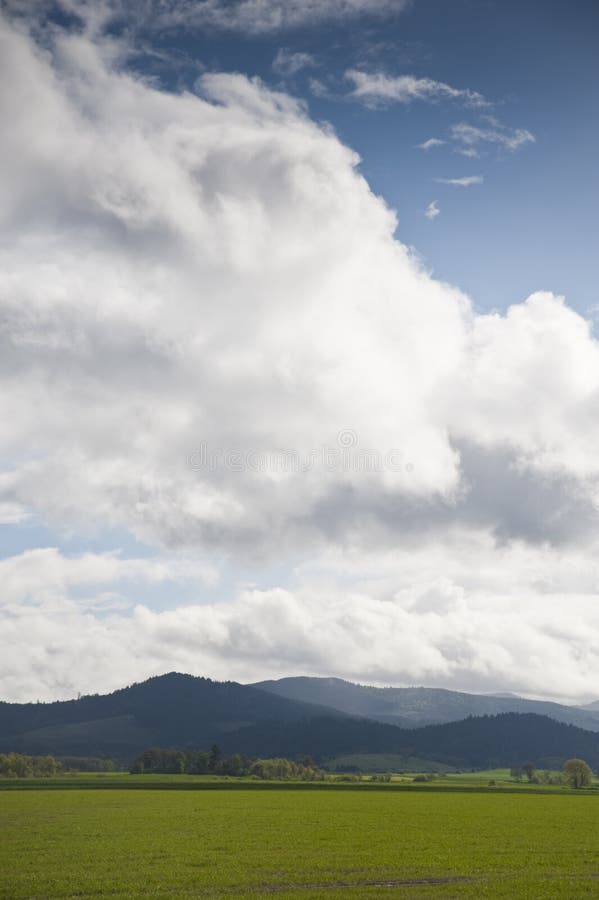 Spring farm field view stock image. Image of field, plant - 24774943