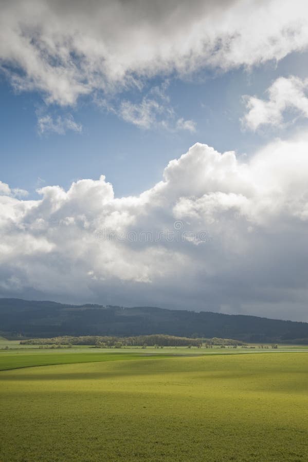 Spring farm fields stock photo. Image of wheat, oregon - 14073196