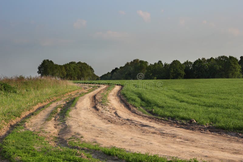 Spring Farm Road Along the Field Stock Image - Image of trees, warm ...