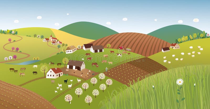 Spring panorama stock vector. Illustration of oilseed - 31095936