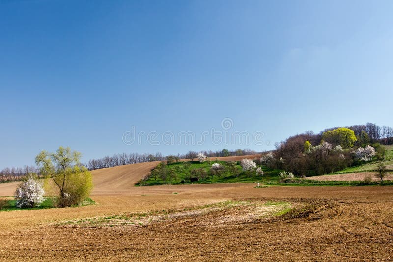 Spring Farmland with Tractor Stock Image - Image of blossom, farm: 19300939
