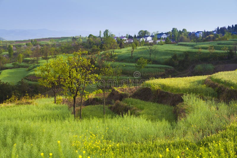 Spring farmland stock photo. Image of cloud, rural, chinese - 28395516