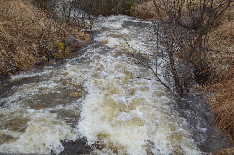 Spring Fast Flowing Stream. Stock Image - Image of kola, fast: 147568913