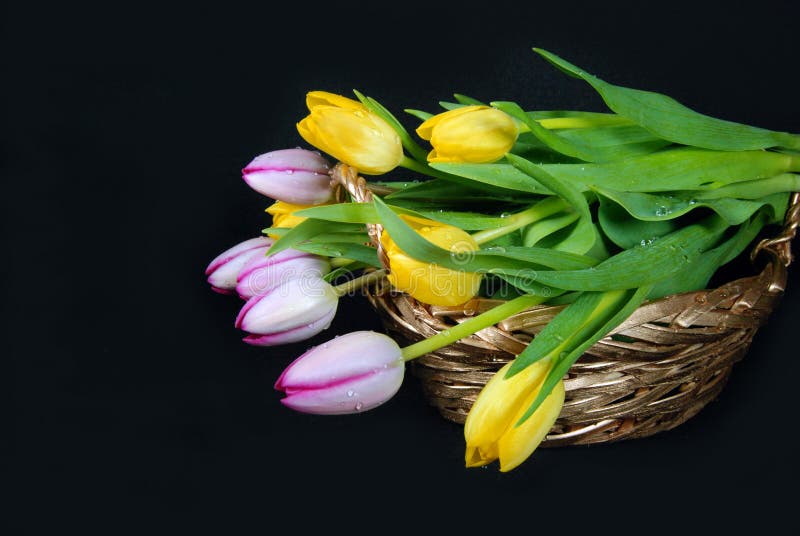 Spring Fever stock image. Image of bouquet, petal, bloom - 4491913