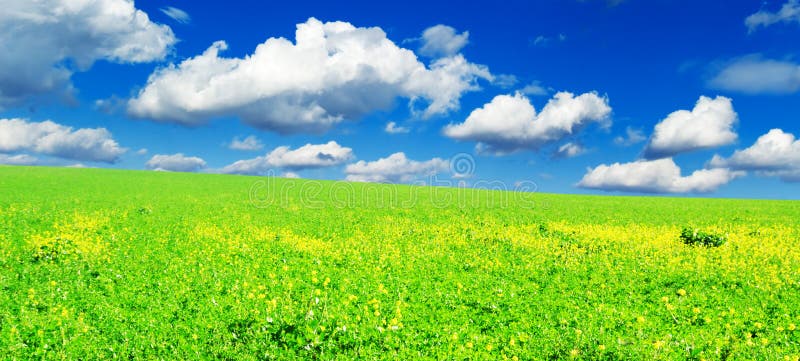 Spring field stock image. Image of nature, land, fields - 10870281