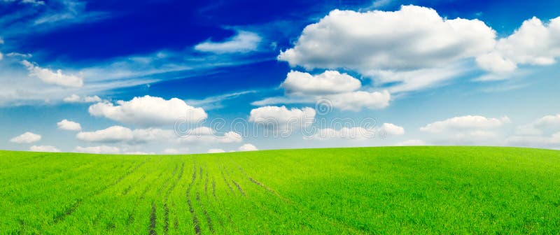 Spring field stock photo. Image of green, fields, horizon - 12471618