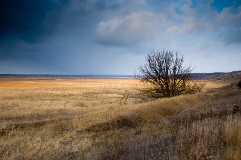 Spring field stock image. Image of idyll, farming, flour - 13582715