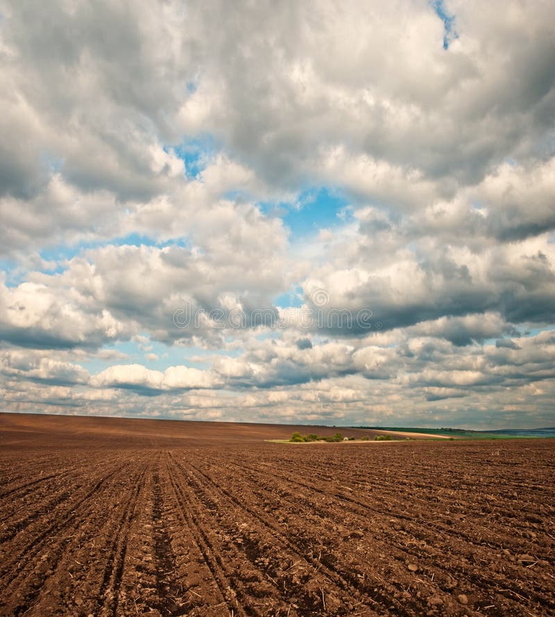 Spring farm field view stock image. Image of field, plant - 24774943
