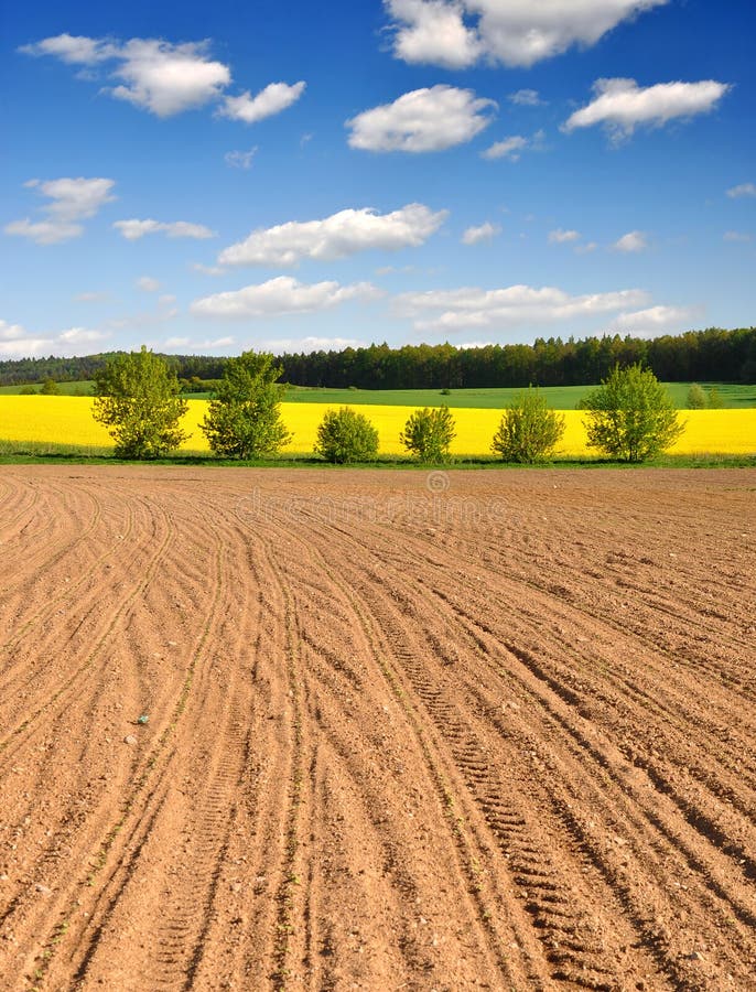 Spring field stock photo. Image of agriculture, color - 19808232